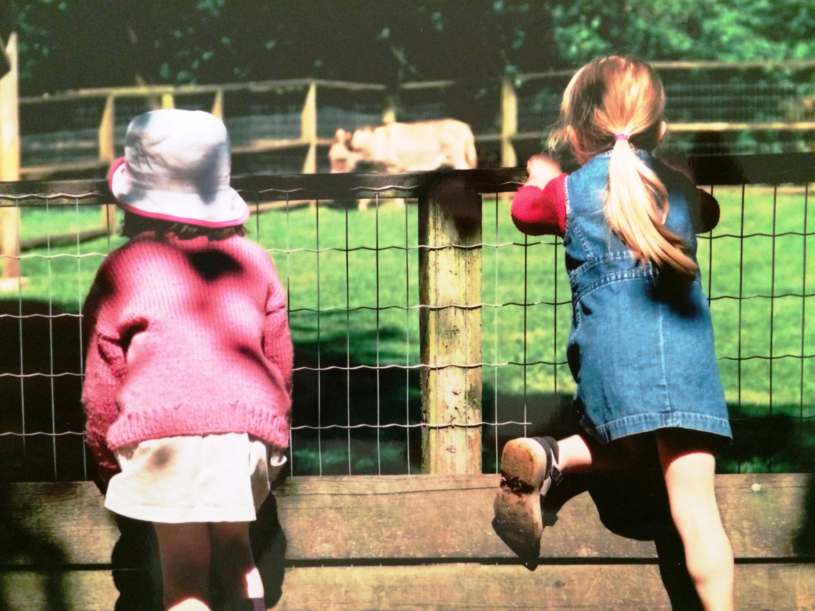 Communal Child Rearing | Tales From the Mothership